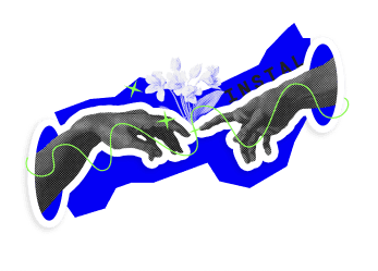 Superfluid | Claim App